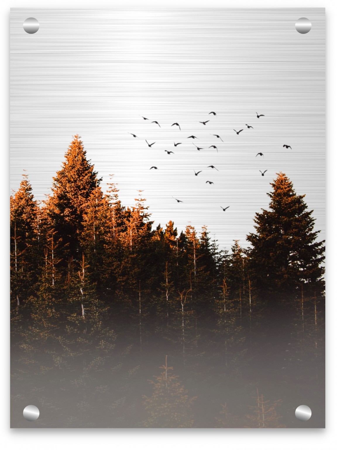 Aluminum Photo Prints | Large Metal Photo Prints | Big Acrylic