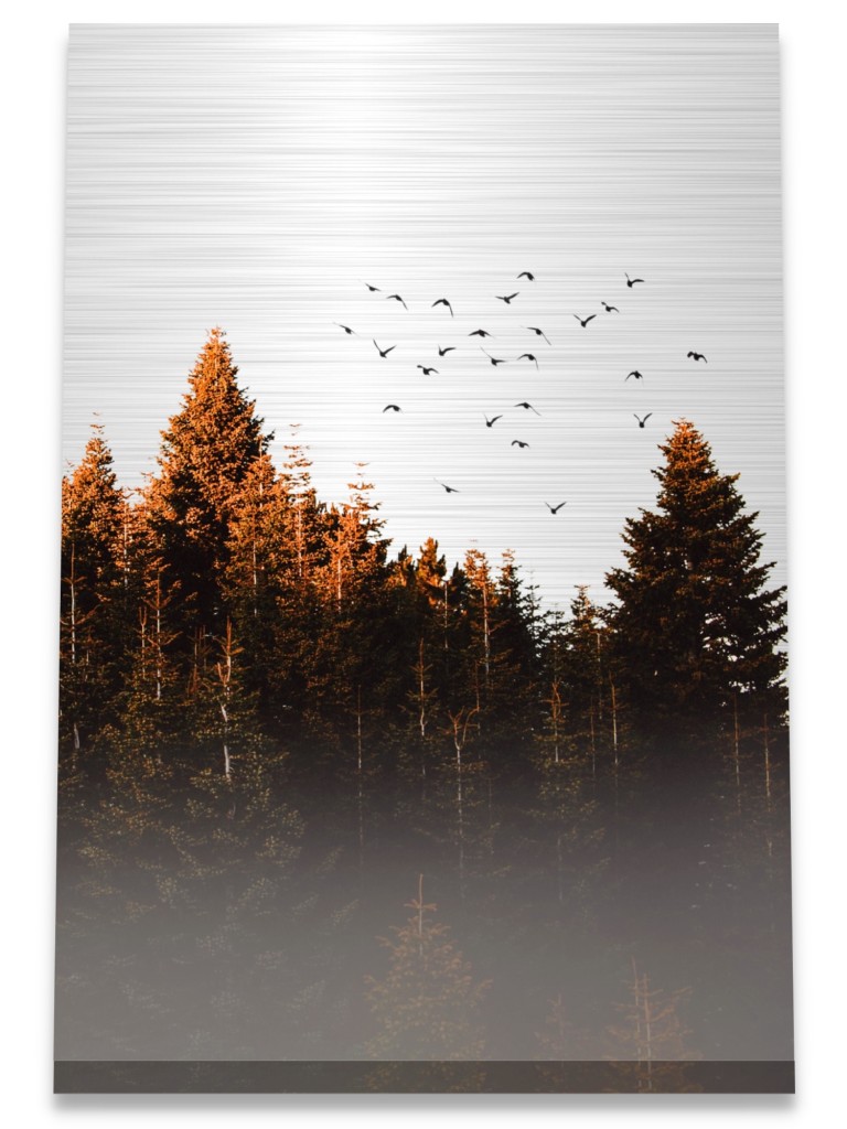 Aluminum Photo Prints | Large Metal Photo Prints | Big Acrylic