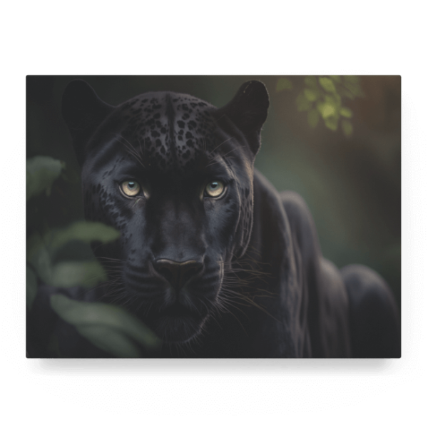 Feline Fury - Acrylic Prints, Photos Prints on Metal and Canvas