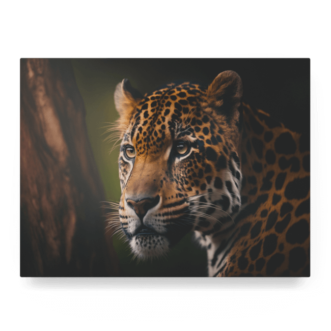 Rain Forest Ruler - Acrylic Prints, Photos Prints on Metal and Canvas
