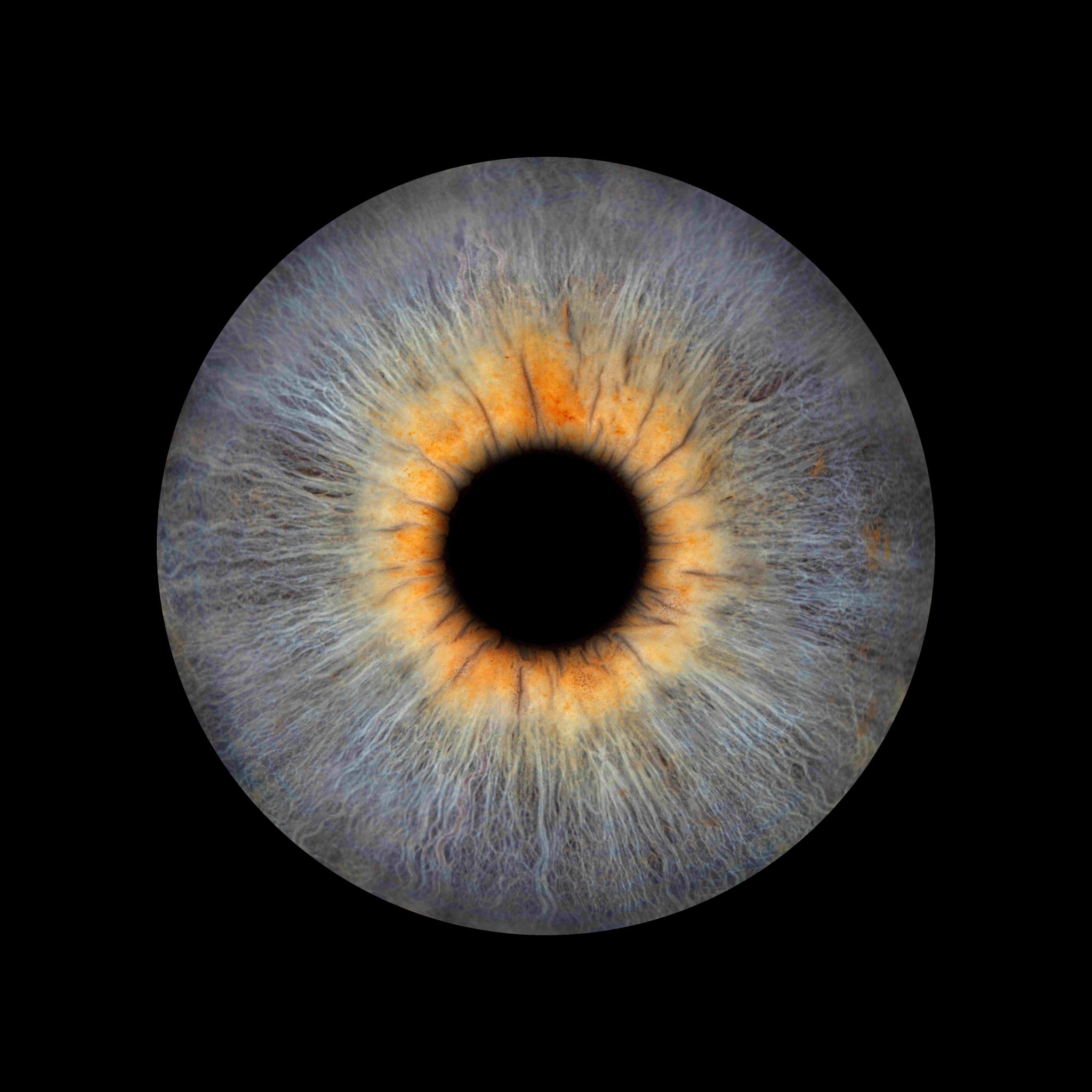 Explore the Fascinating World of Eye Art | Big Acrylic