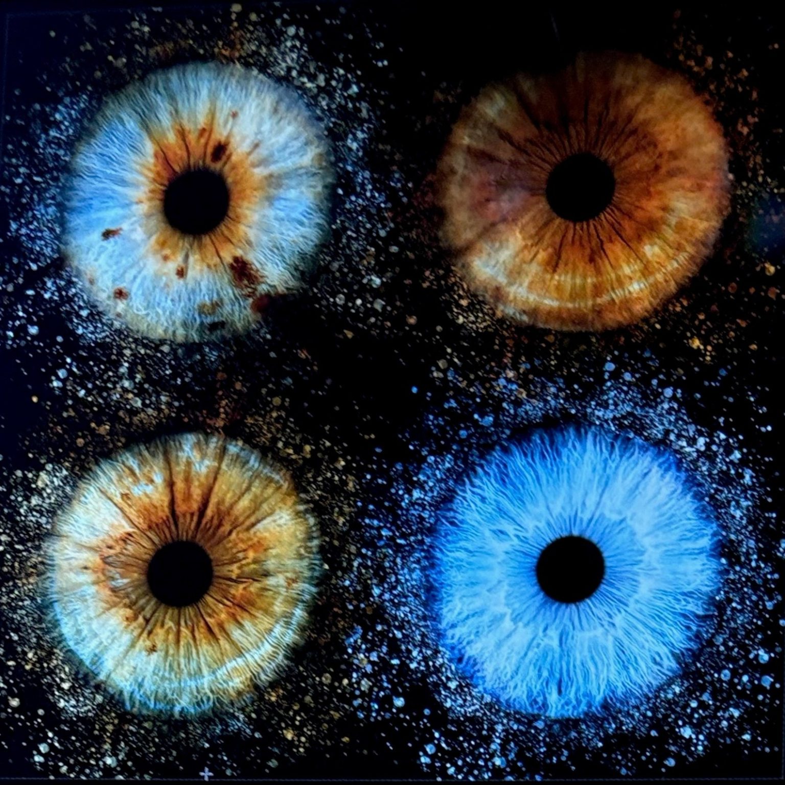 Explore the Fascinating World of Eye Art | Big Acrylic